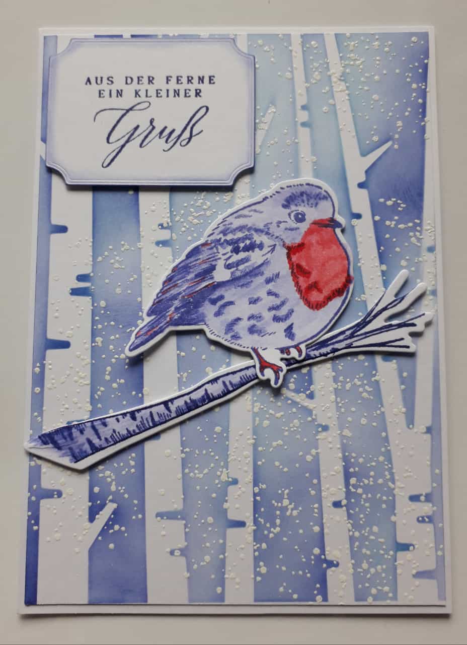 Team Beitrag CTS 130